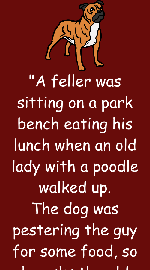 A feller was sitting on a park bench eating his lunch when an old lady ...