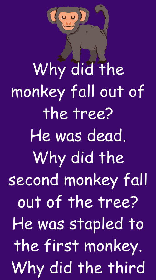 Why did the monkey fall out of the tree? - Abhinay Narayan Singh